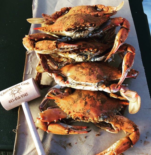 Crabs | Kent Point Marina & Seafood