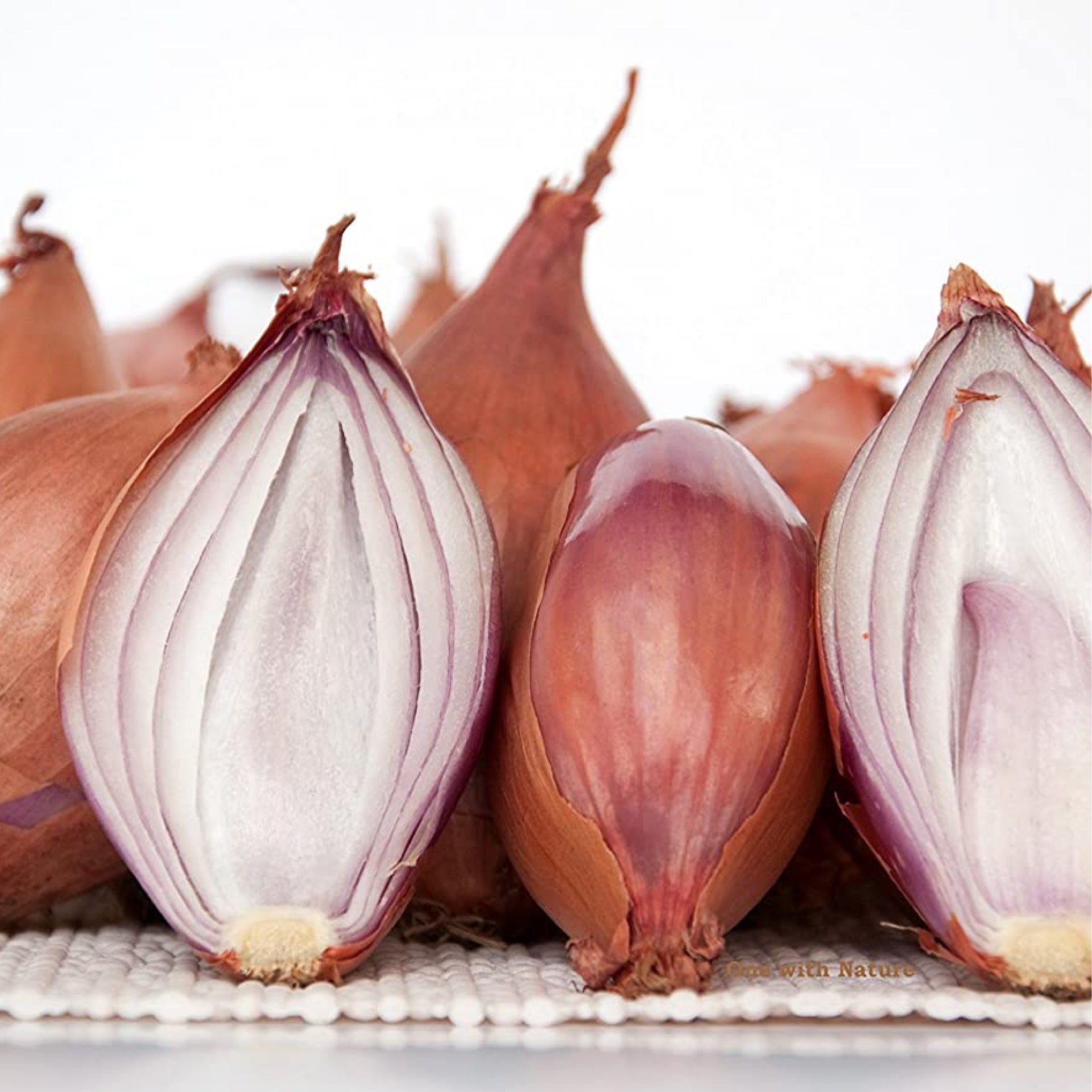 Shallots | Kent Point Marina & Seafood