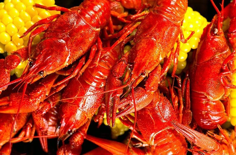 Steamed Crawfish | Kent Point Marina & Seafood