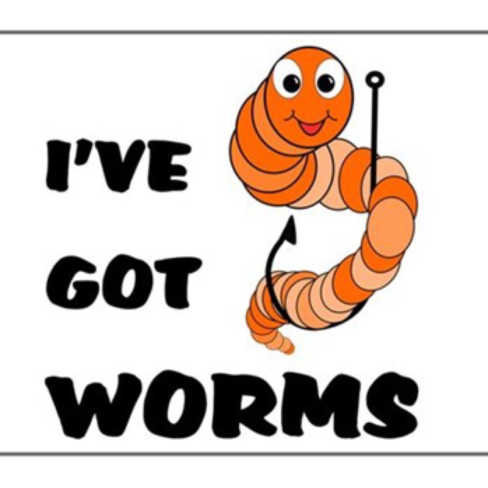 Live Worms | Kent Point Marina & Seafood